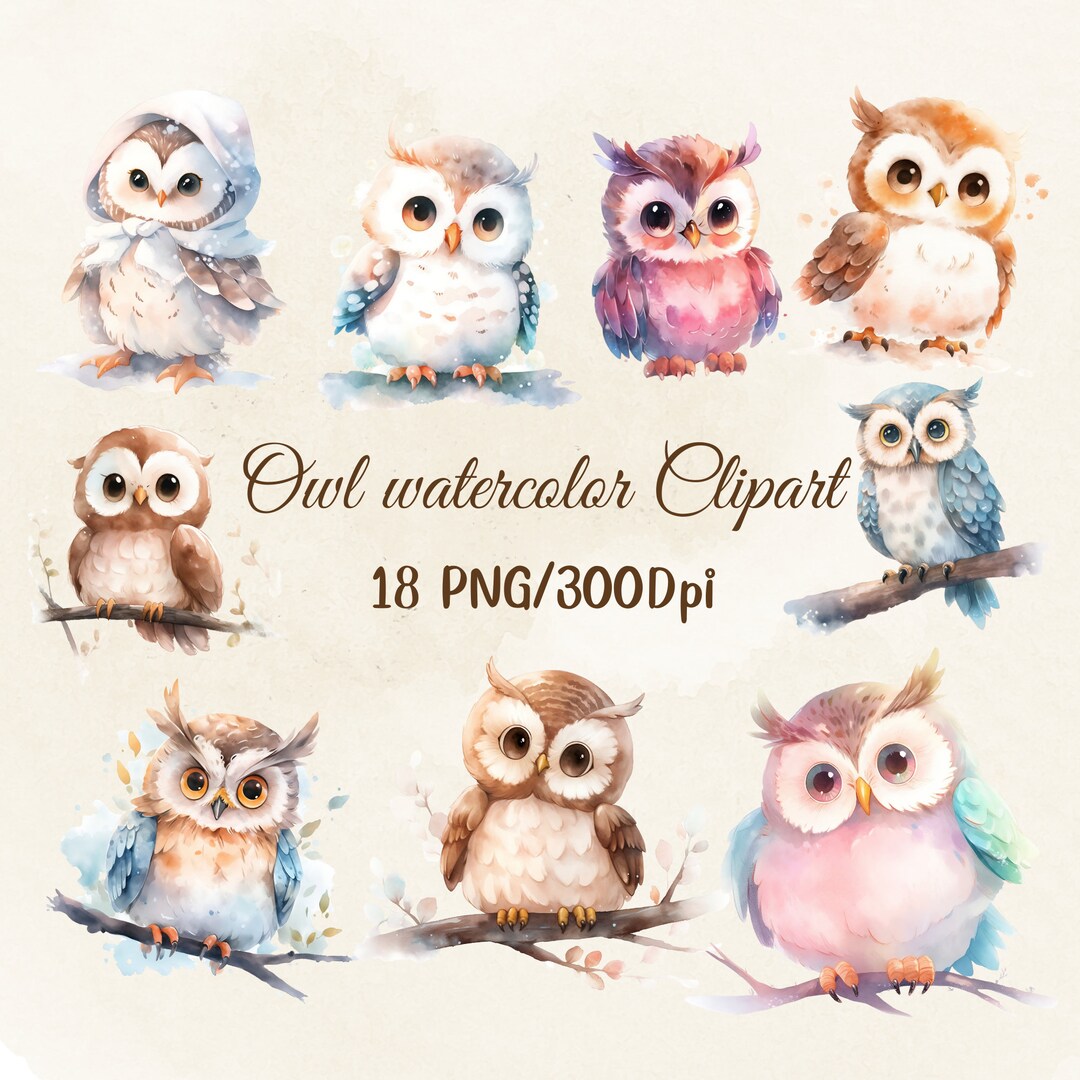 Cute Owl Watercolor Clipart 18 PNG/300 Dpi Digital Download - Etsy