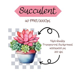 Succulent Watercolor Clipart High Quality Transparent Background 40 Png ...