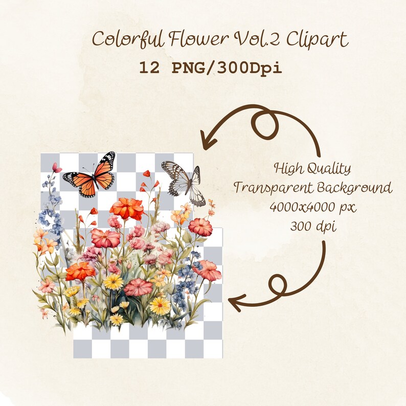 Colorful Flower Vol.2 Watercolor Clipart 12 PNG/300 Dpi Digital ...