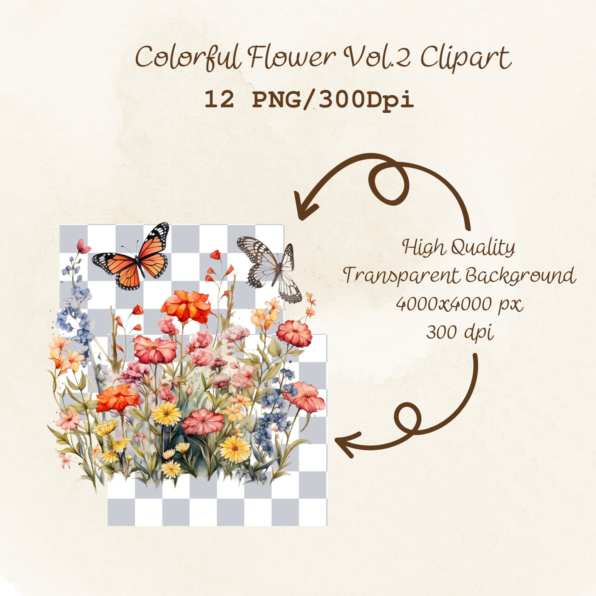Colorful Flower Vol.2 Watercolor Clipart 12 PNG/300 Dpi Digital ...