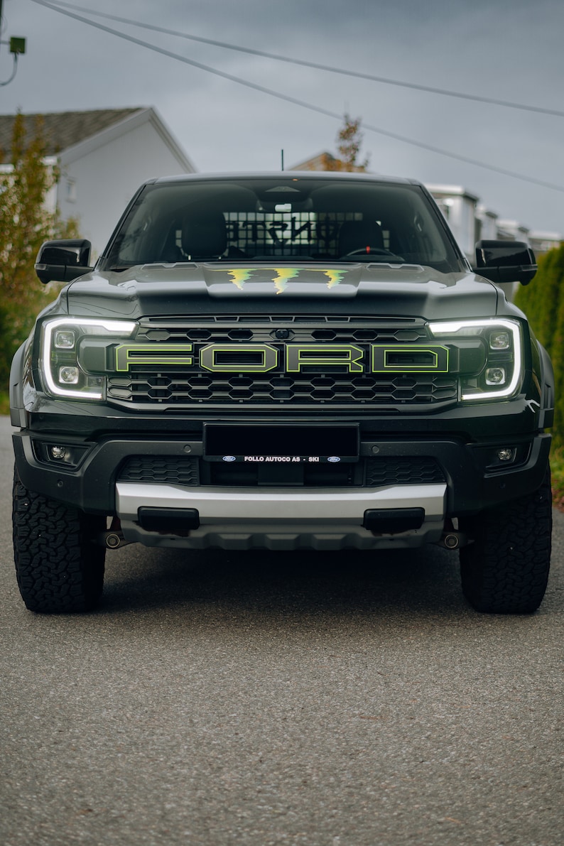 RAPTOR EMBLEM DECALS - Etsy