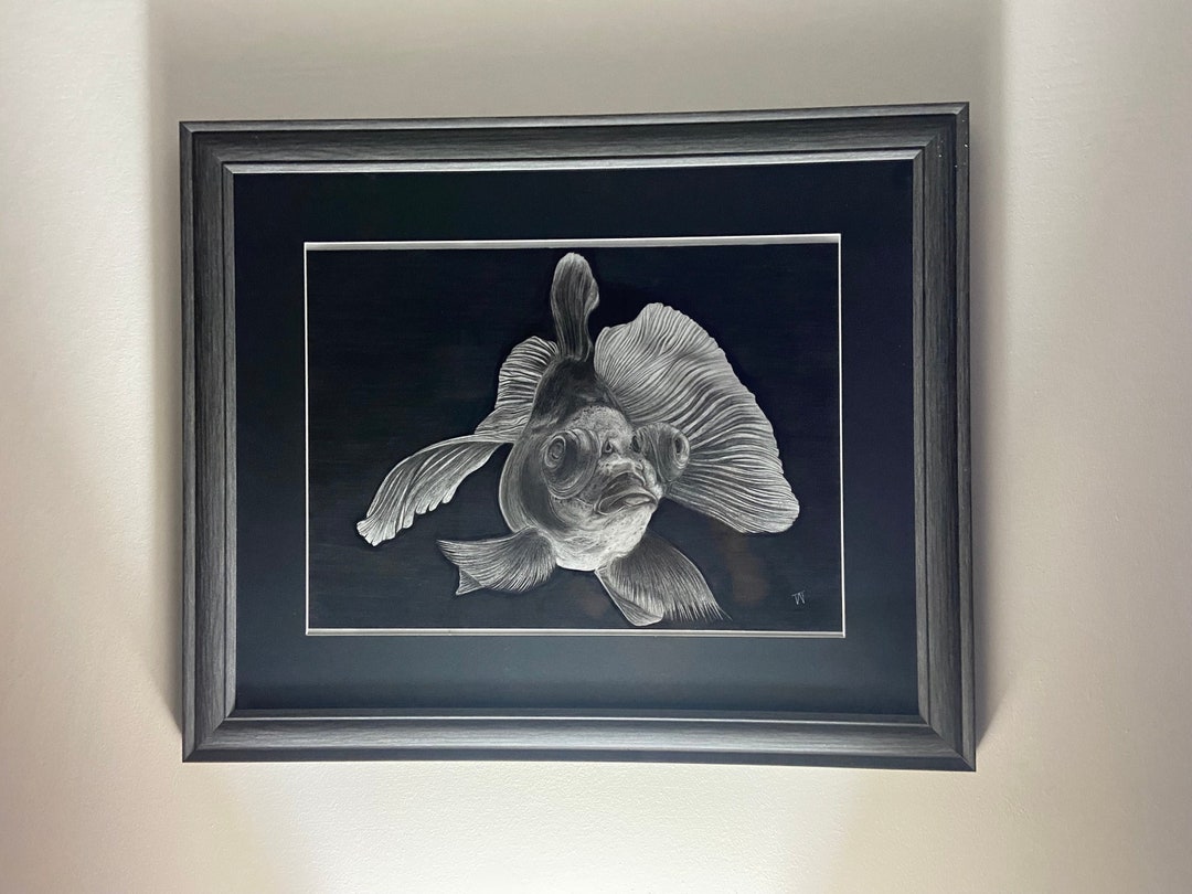 Hyper Realistic Drawing, Black Moor Fish Original Drawing in Graphite ...