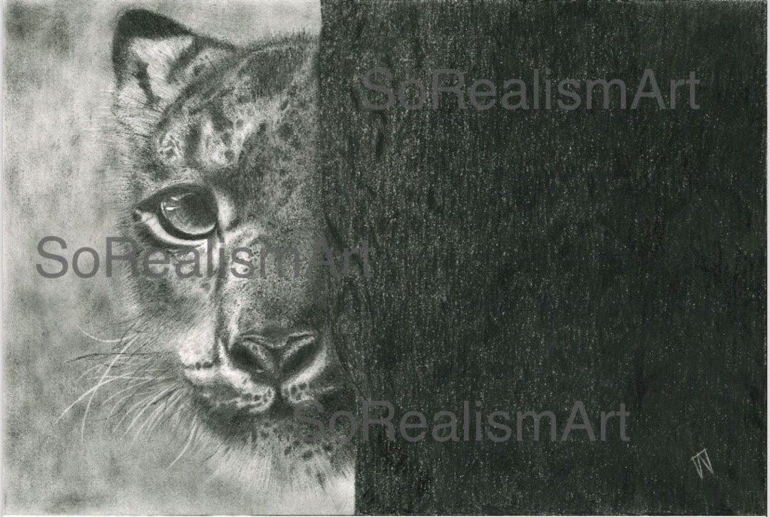 Hyper Realistic Drawing for Digital Downloads, of My Original Drawing ...