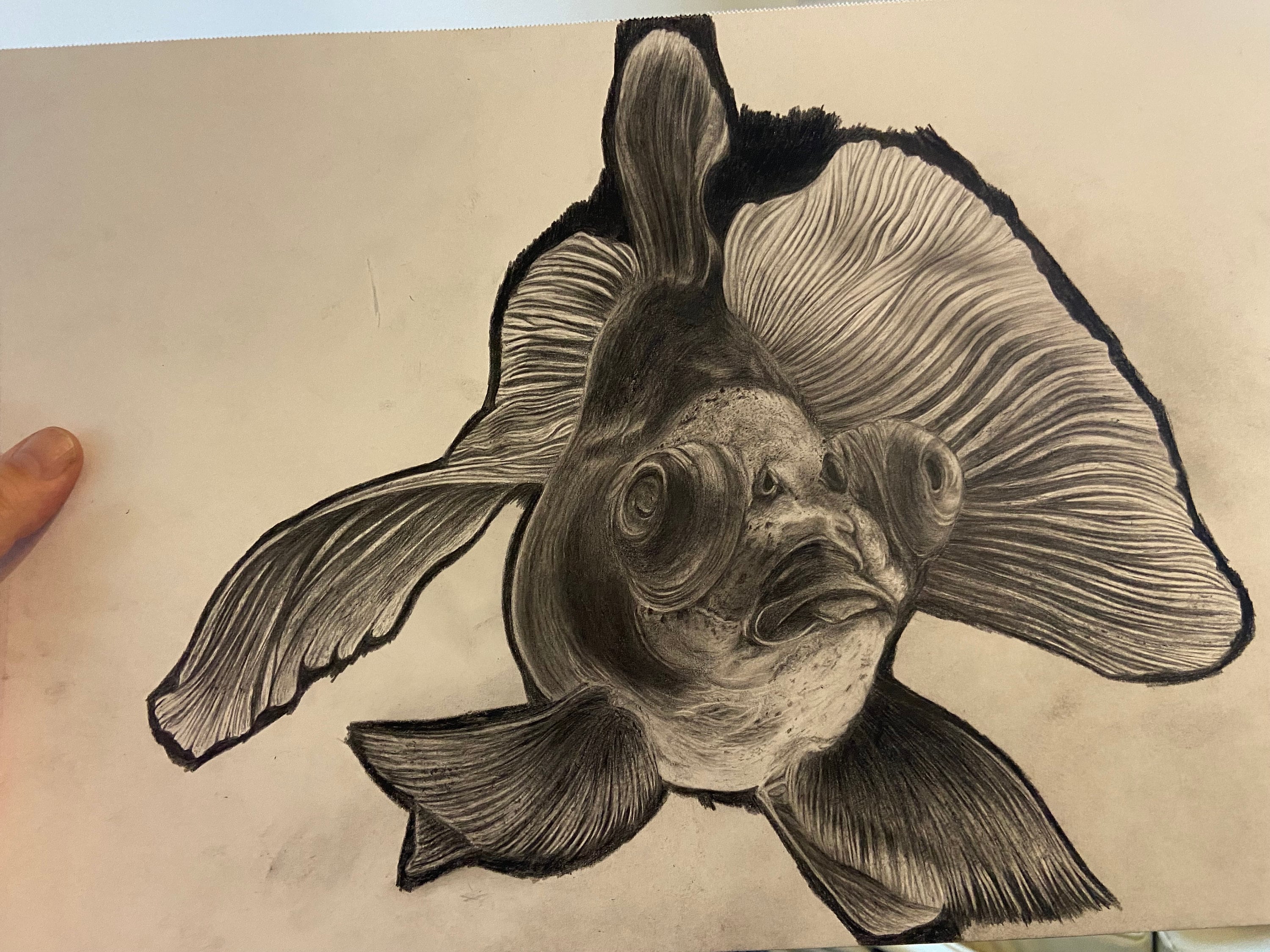 Hyper Realistic Drawing, Black Moor Fish Original Drawing in Graphite ...