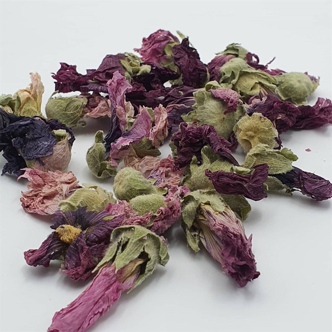 Mallow Dried Flowers, Loose Herbal Tea, Malva Sylvestris, for Herbal ...