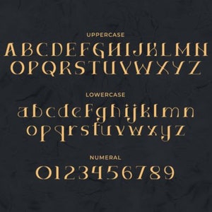 Filled Gold Serif Font, Handwritten Font, Display Font, Calligraphy ...