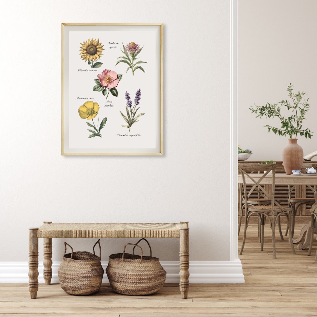 Vintage Wildflower Botanical Print: Antique Floral Illustration - Etsy