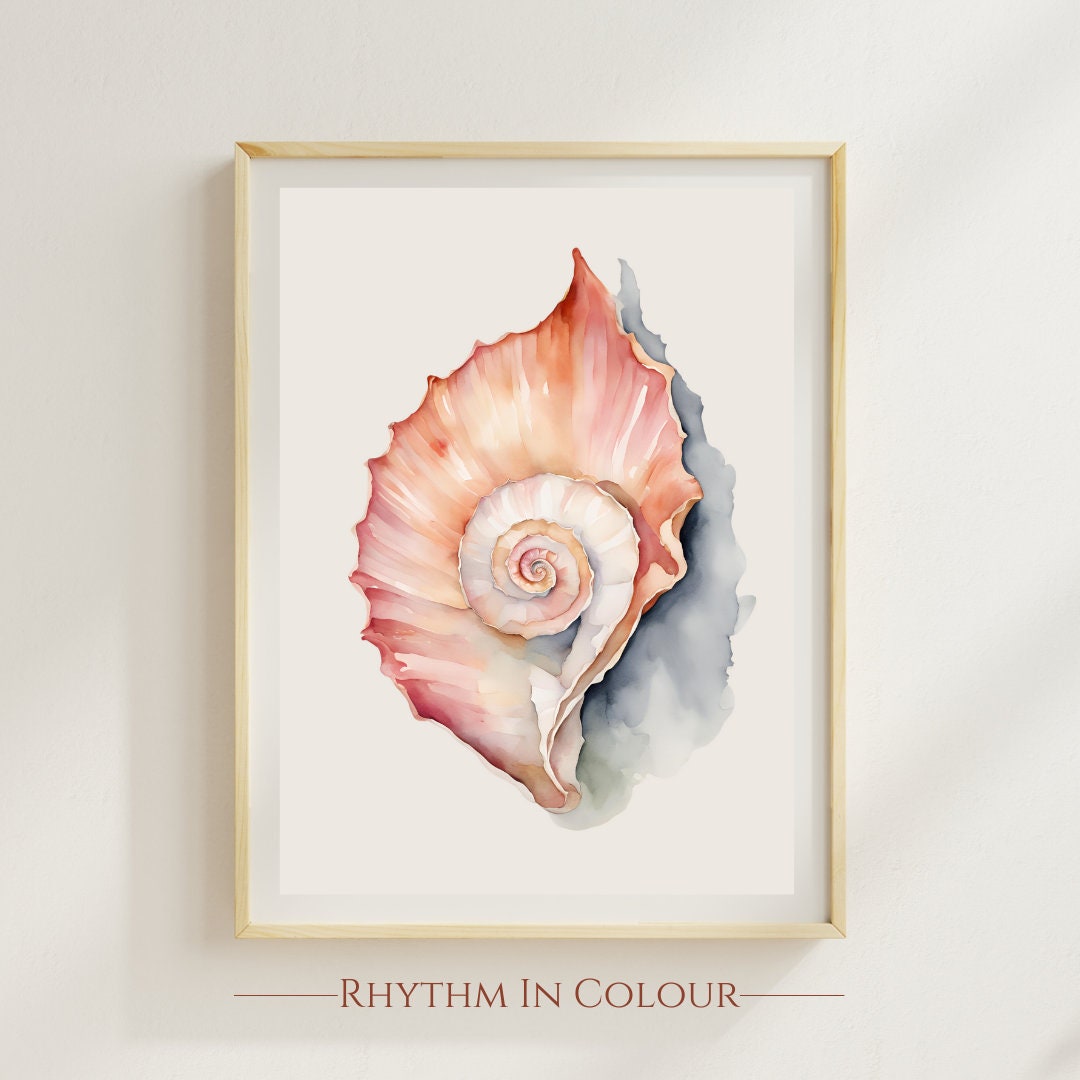 Shell Minimalist Poster Coastal Wall Decor Sea Life Marine Wall Decor ...