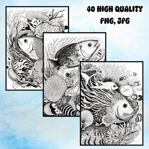 Adult Activity Book Ocean Zen, Underwater Zentangle Coloring Pages ...