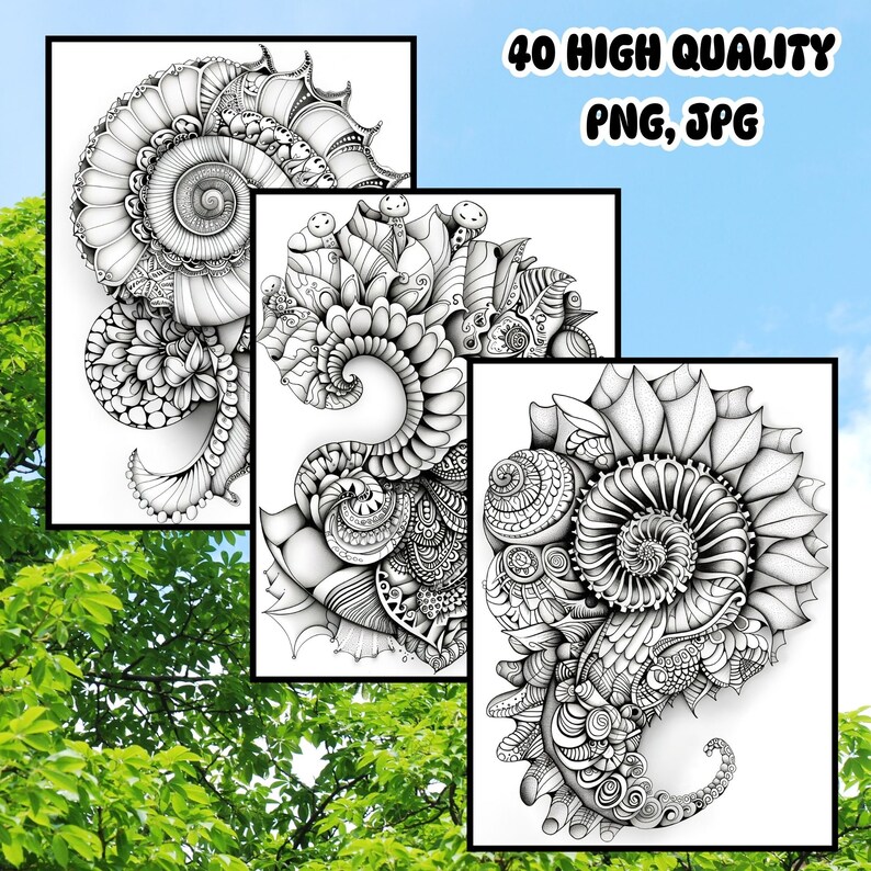 Zentangle Patterns: Explore Doodle Print Art and Calligraphy Practice ...