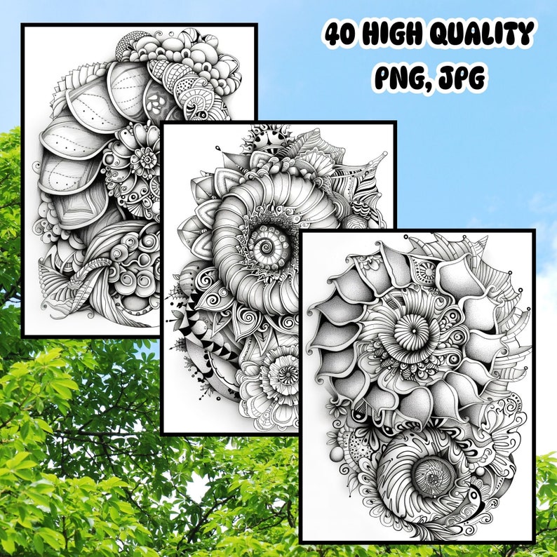 Zentangle Patterns: Explore Doodle Print Art and Calligraphy Practice ...