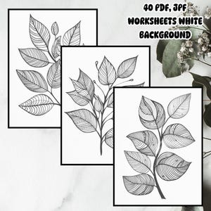 Zentangle Leaves Patterns, Large Leaves, Nature Prints, Ornaments Set ...