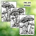 Zentangle Mushroom Patterns With Enchanting Coloring Pages and Doodle ...