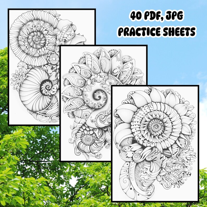 Zentangle Patterns: Explore Doodle Print Art and Calligraphy Practice ...