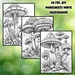 Zentangle Mushroom Patterns With Enchanting Coloring Pages and Doodle ...