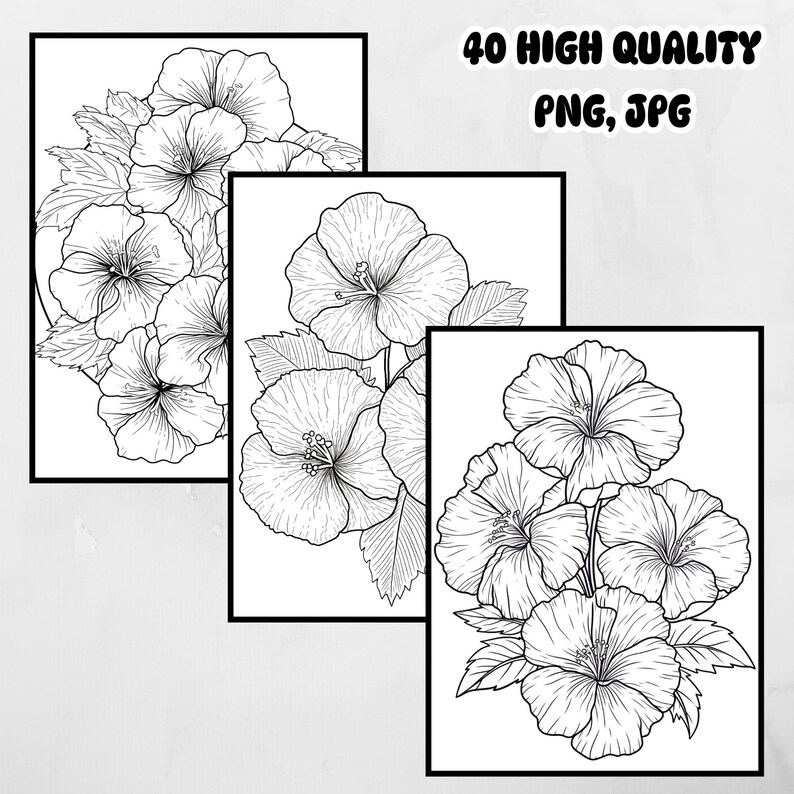 Blooming Beginners: Floral Drawing Techniques Bundle With PDF & PNG ...
