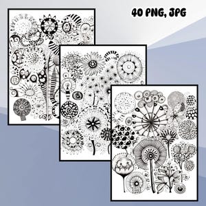 Zentangle Unusual Designs, Explore Original Ornaments, Masterful ...