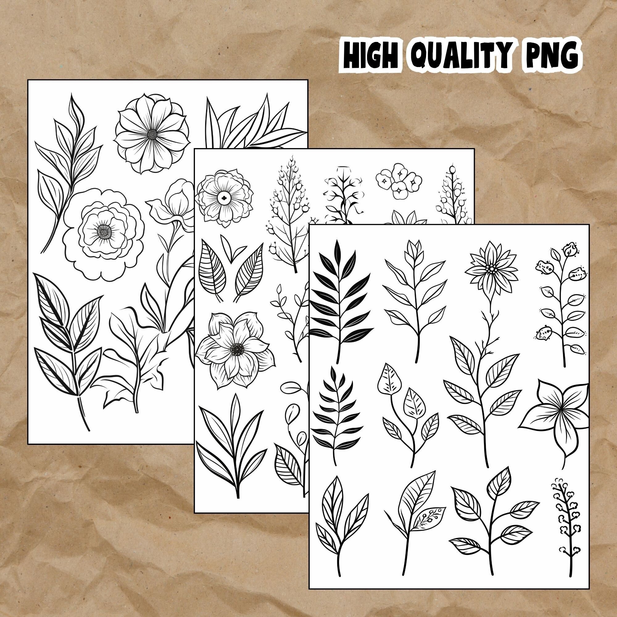 Ultimate Flower Drawing Tutorial, Step by Step Mega Bundle for ...