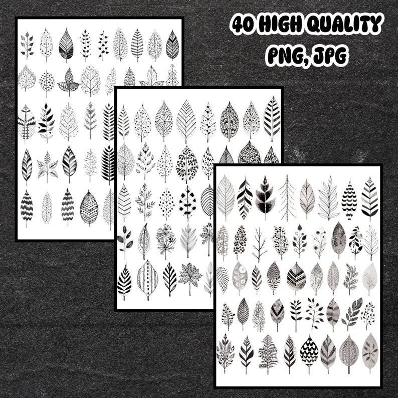 Zentangle Leaves Bundle, 2000+ Designs, Creative Artistic Practice, PNG ...