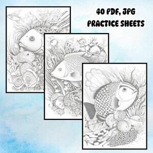 Adult Activity Book Ocean Zen, Underwater Zentangle Coloring Pages ...