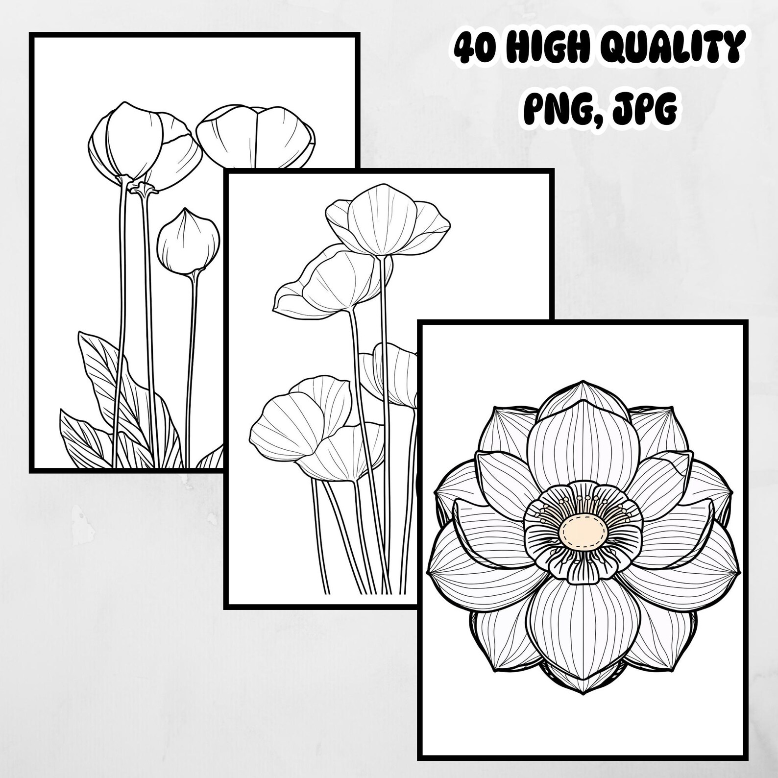 Blooming Beginners: Floral Drawing Techniques Bundle With PDF & PNG ...