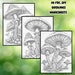 Zentangle Mushroom Patterns With Enchanting Coloring Pages and Doodle ...
