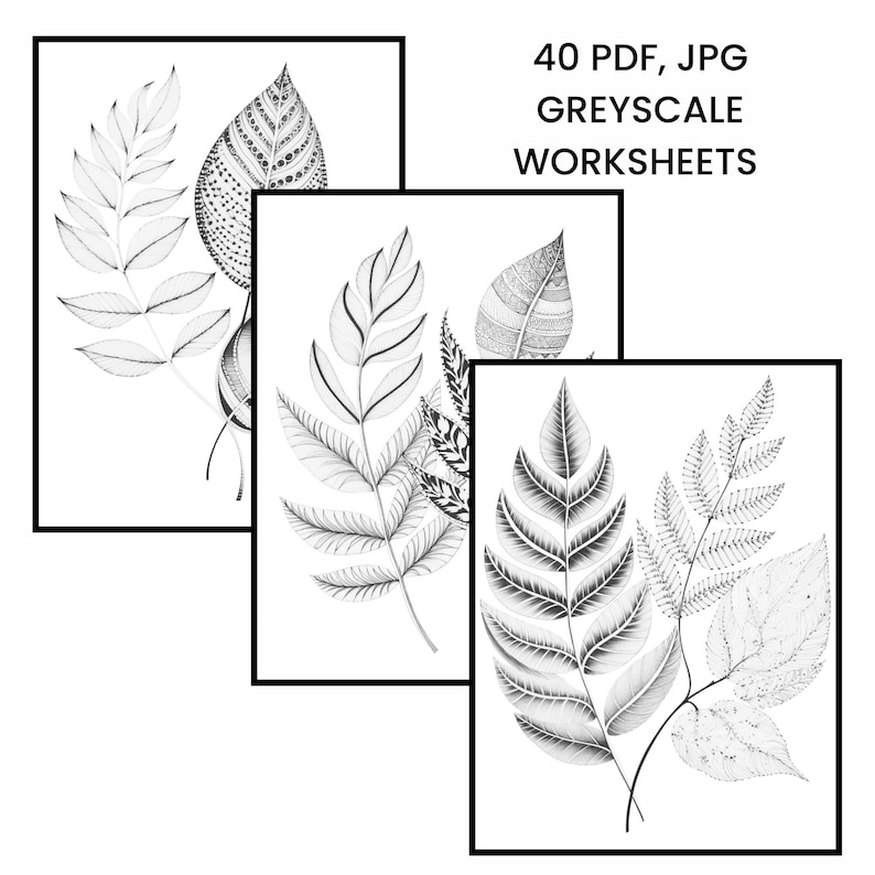 Zentangle Leaf Drawing Bundle – Botanical Zen & Zendoodle Practice ...