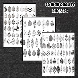 Zentangle Leaves Bundle, 2000+ Designs, Creative Artistic Practice, PNG ...