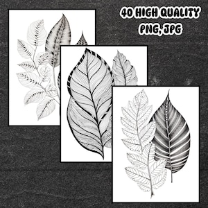 Zentangle Leaves Designs: Comprehensive Tutorials, Patterns, and ...