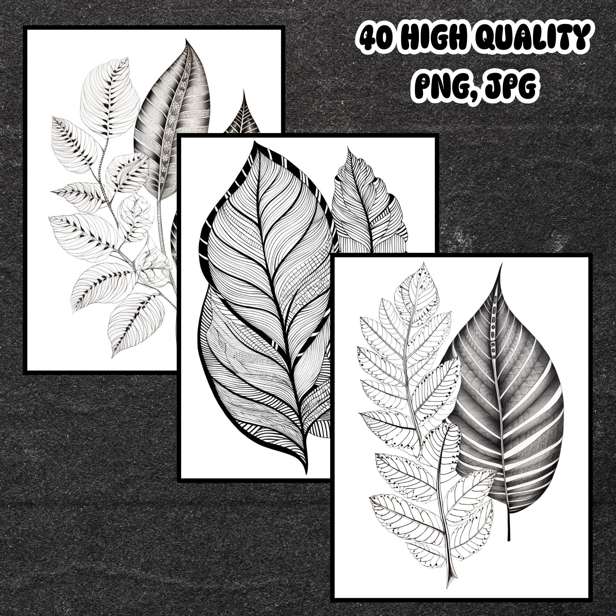 Zentangle Leaves Designs: Comprehensive Tutorials, Patterns, and ...