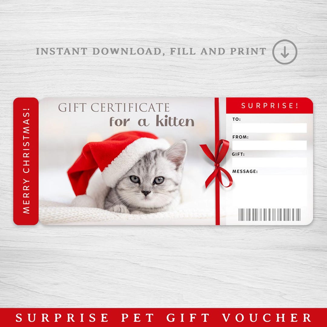 Digital Kitten Gift Certificate, Printable Cat Gift Voucher, Printable ...