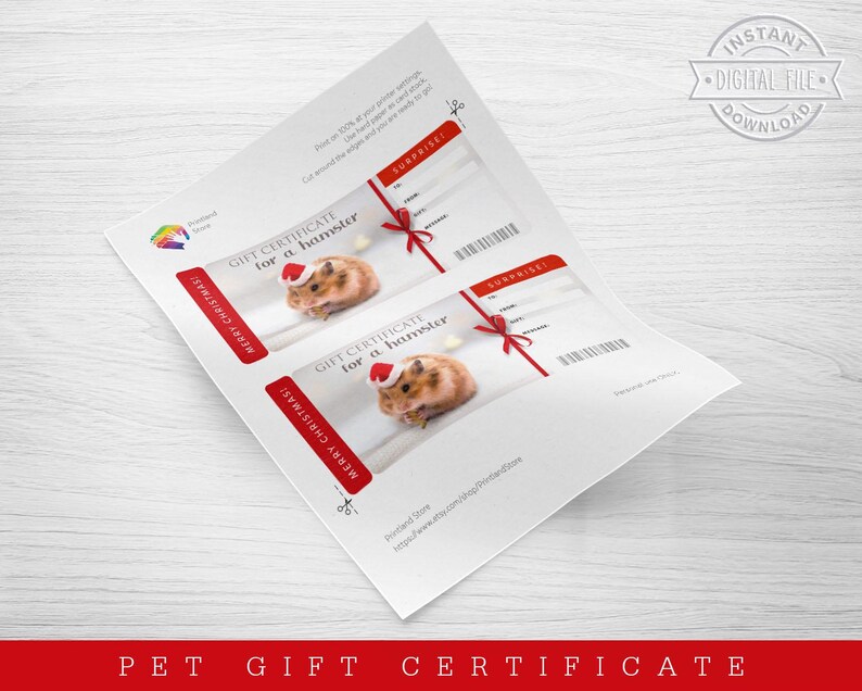 Digital Hamster Gift Certificate, Printable Hamster Gift Voucher, Pet ...