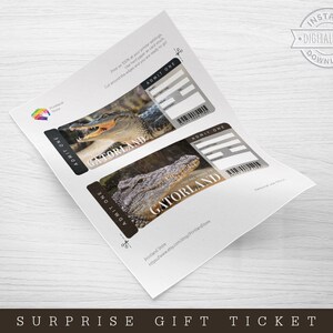 Digital Gatorland Surprise Gift Ticket, Gatorland Theme Park Surprise ...