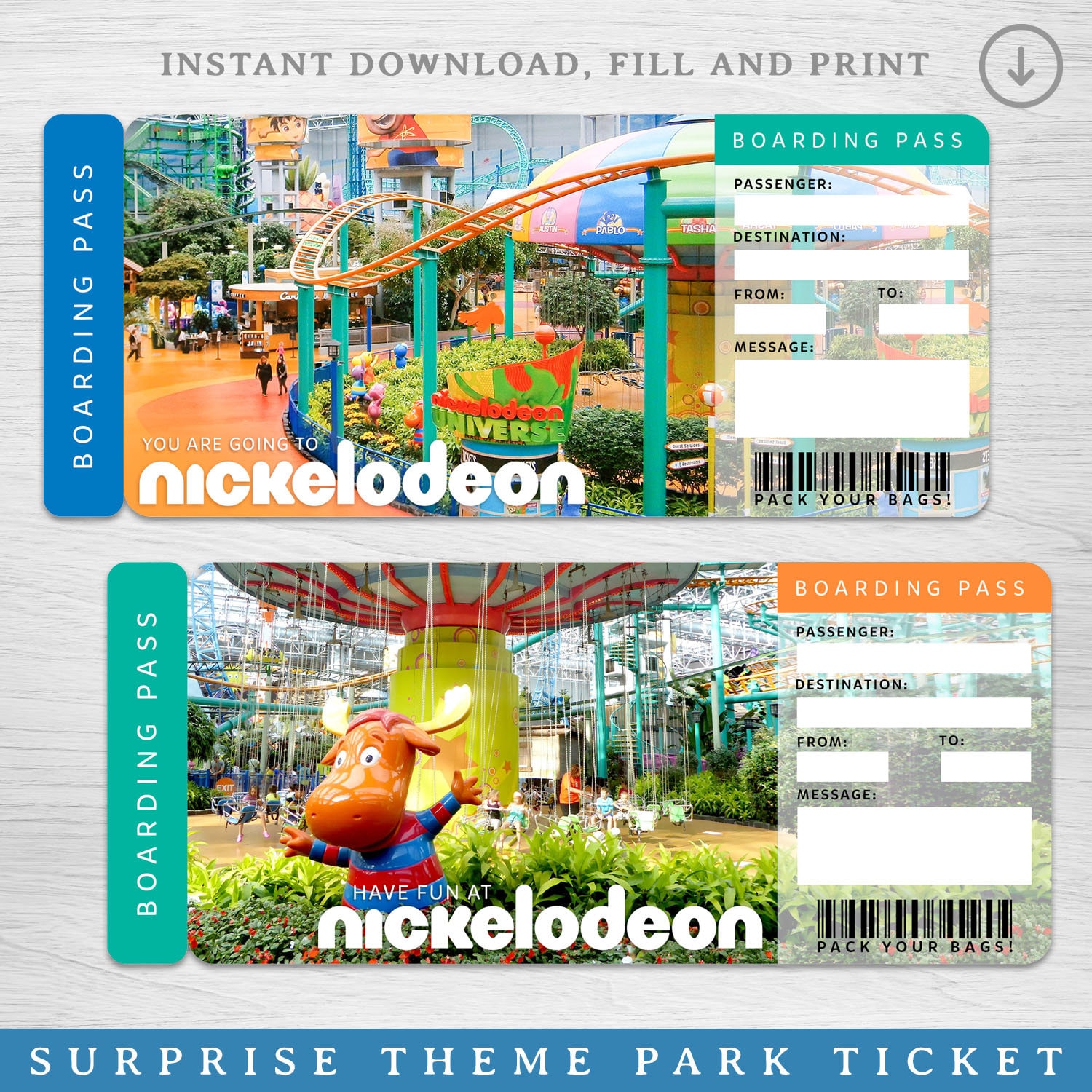Printable Nickelodeon Surprise Trip Ticket, Nickelodeon Theme Park Gift ...