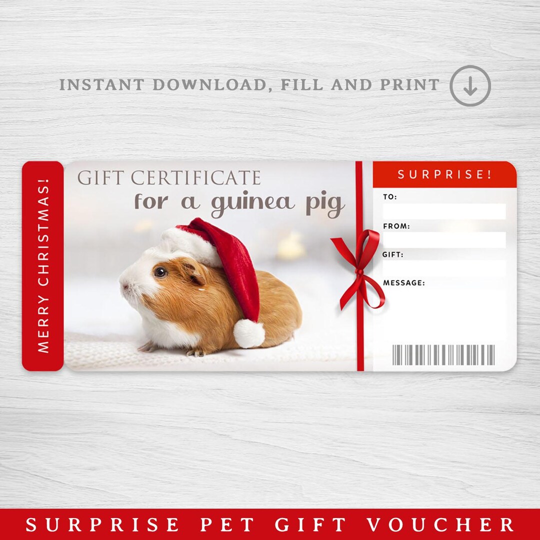 Digital Guinea Pig Gift Certificate, Printable Guinea Pig Gift Voucher ...