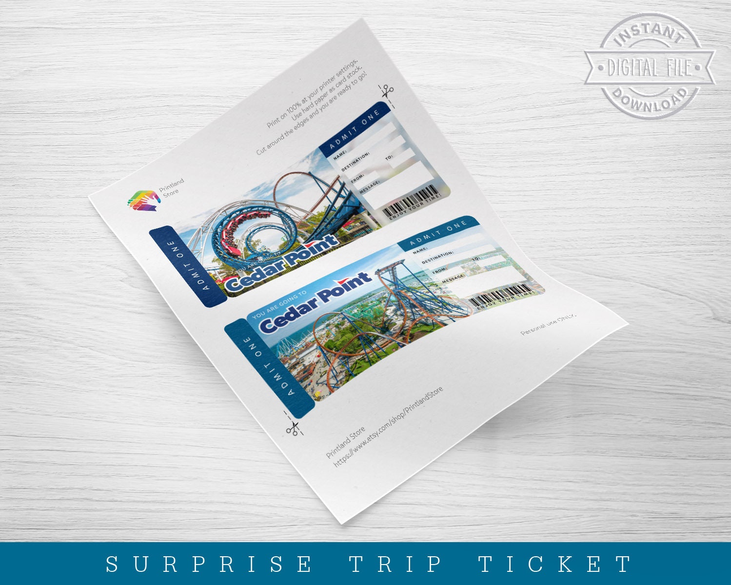 Digital CEDAR POINT Surprise Trip Gift Ticket, Amusement Park Printable ...