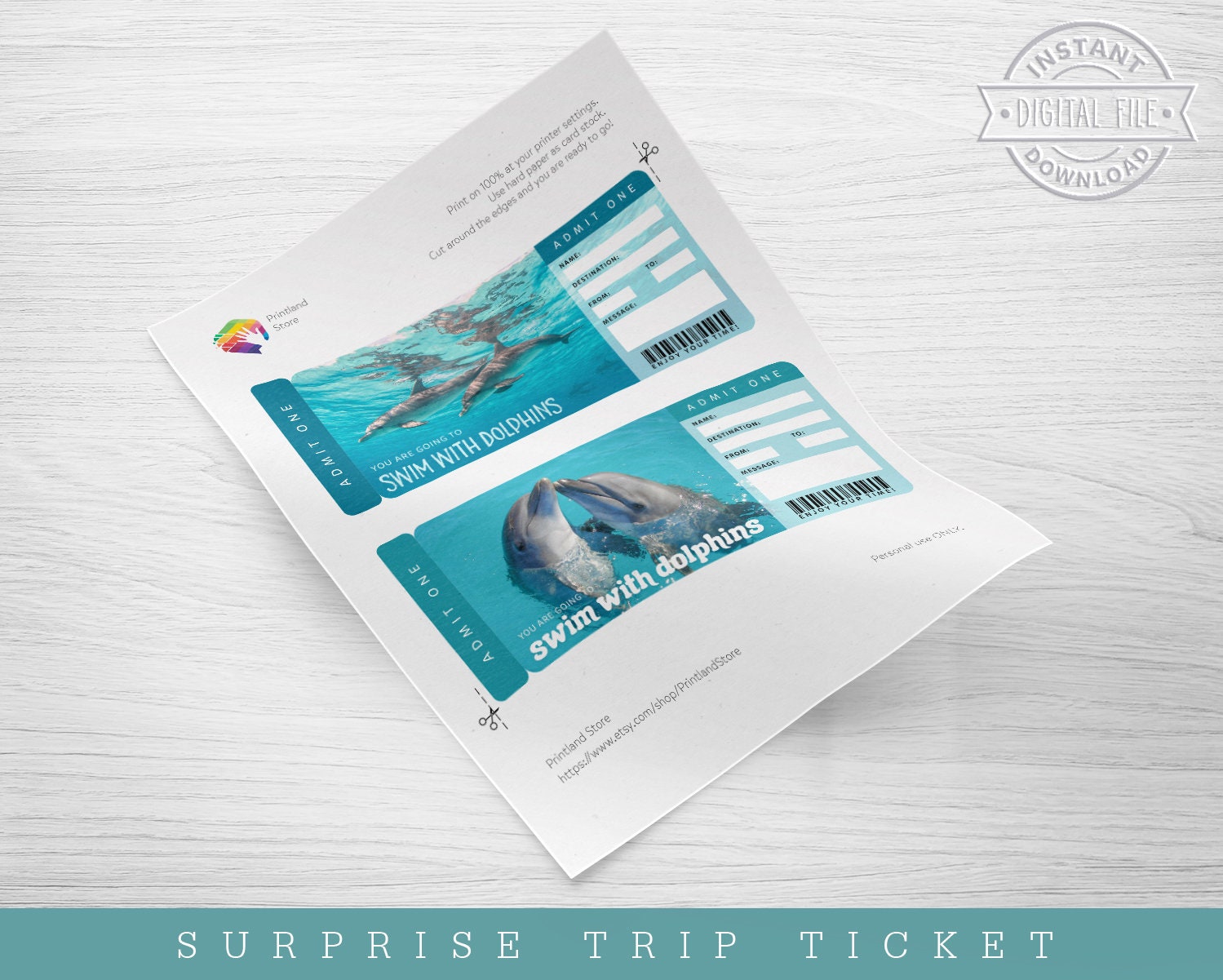 Digital Swim With DOLPHINS Surprise Trip Gift Ticket, Dolphin Encounter ...