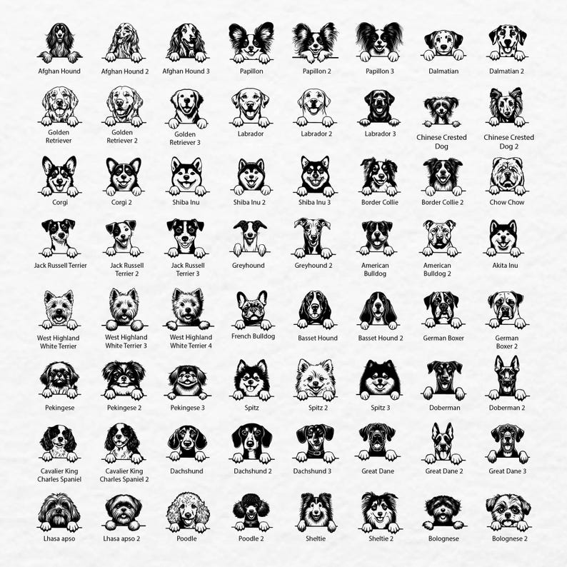 Peeking Dog Breeds Clipart: 184 SVG PNG PDF Graphics - Etsy