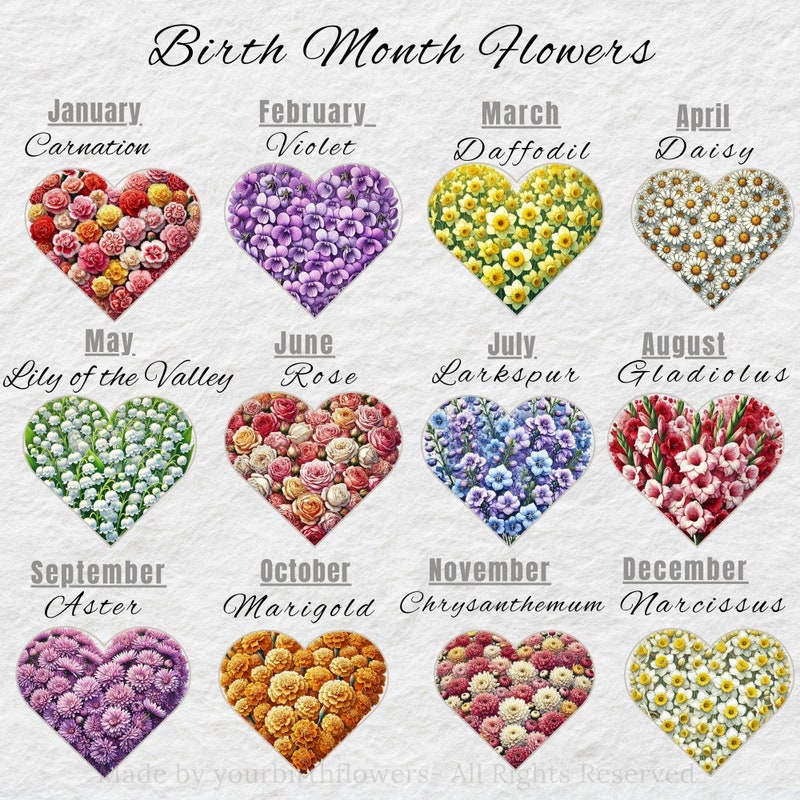 August Borders - Etsy