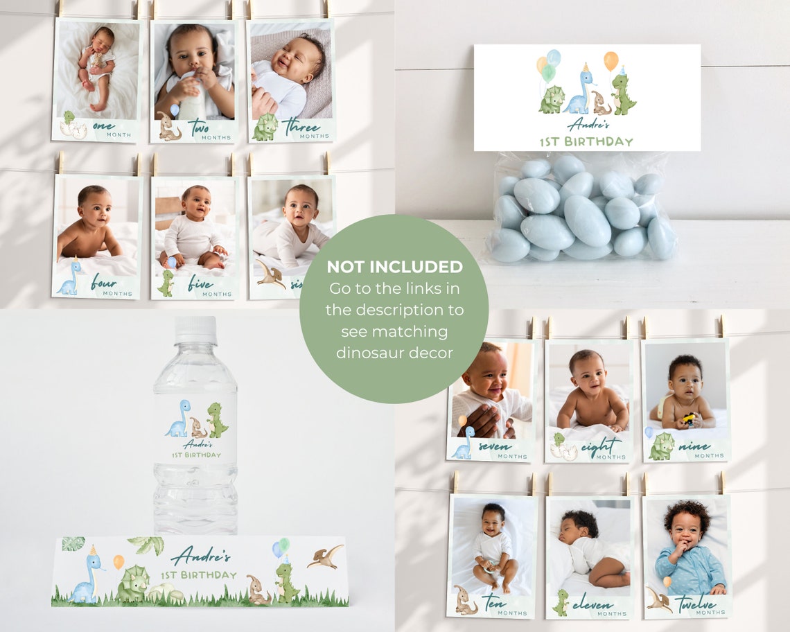 First Birthday Dinosaur Signs Instant Download Party Baby Boy 1st ...