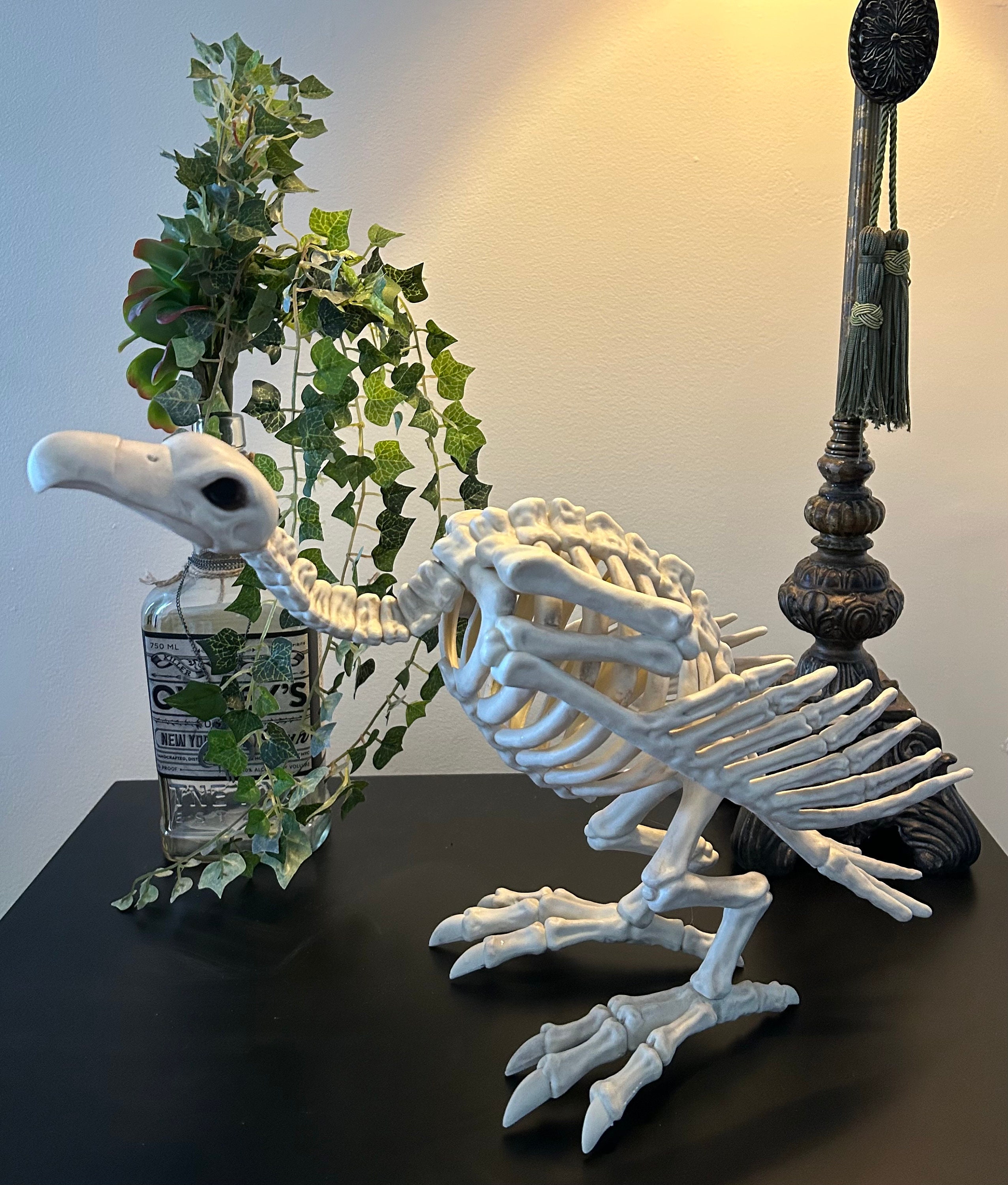 Skeleton Vultures Birds 3-D Printed - Etsy