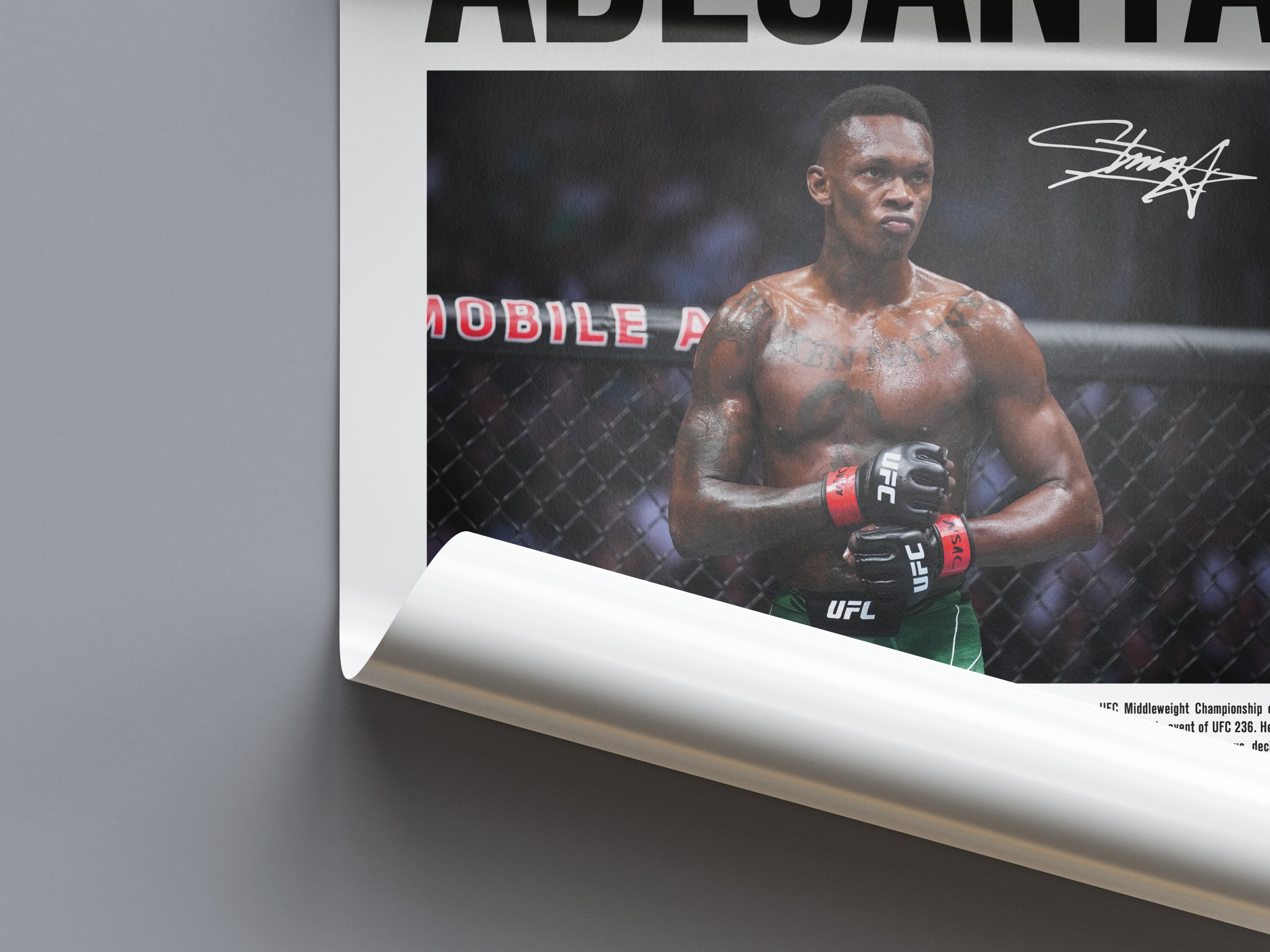 Custom UFC Poster Israel Adesanya MMA Statistics Signed - Etsy
