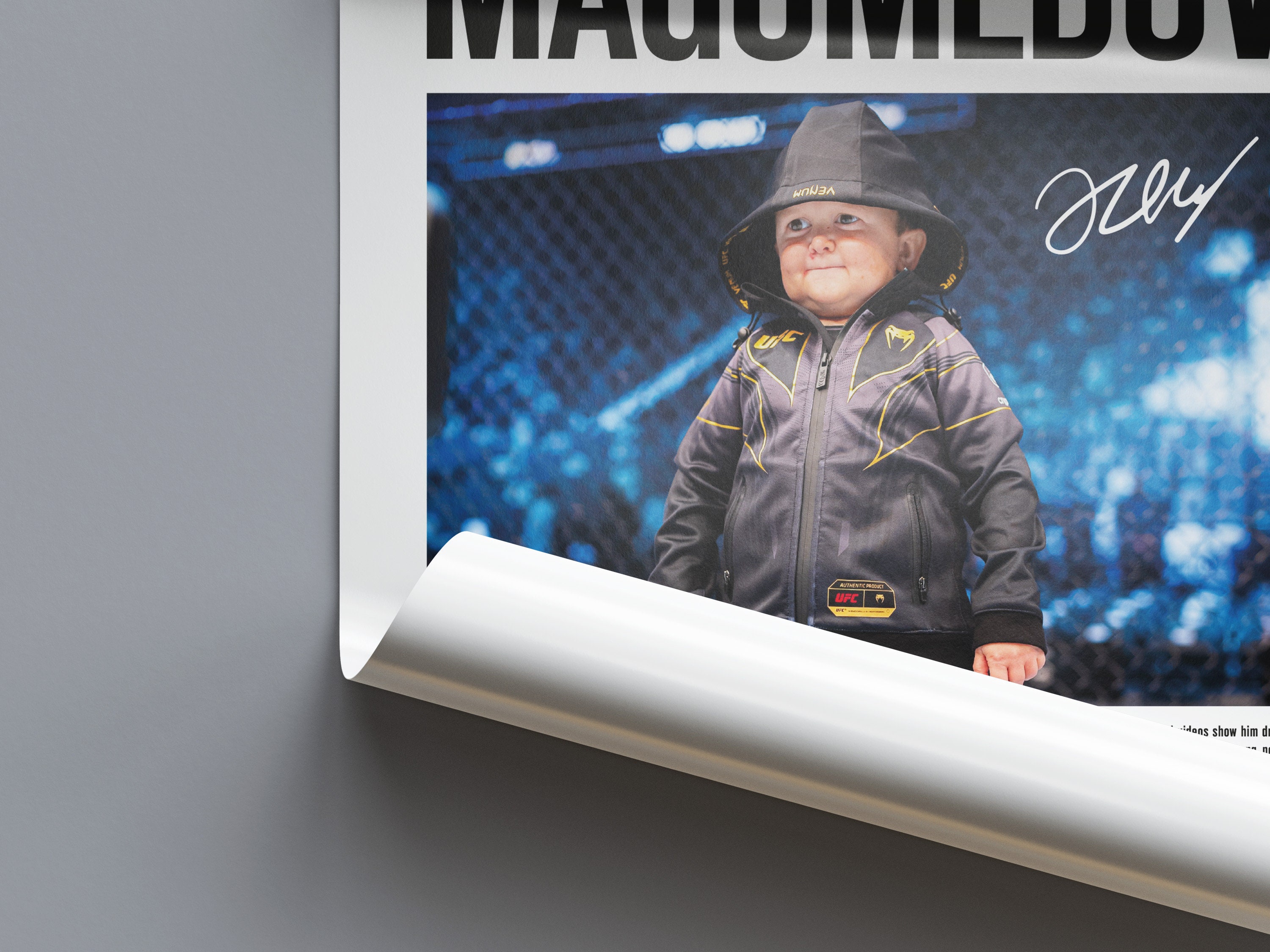 Custom UFC Poster Hasbulla Magomedov MMA Statistics Signed - Etsy