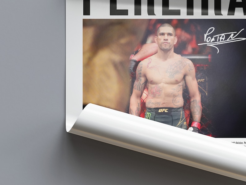 Custom UFC Poster Alex Pereira MMA Statistics Signed - Etsy