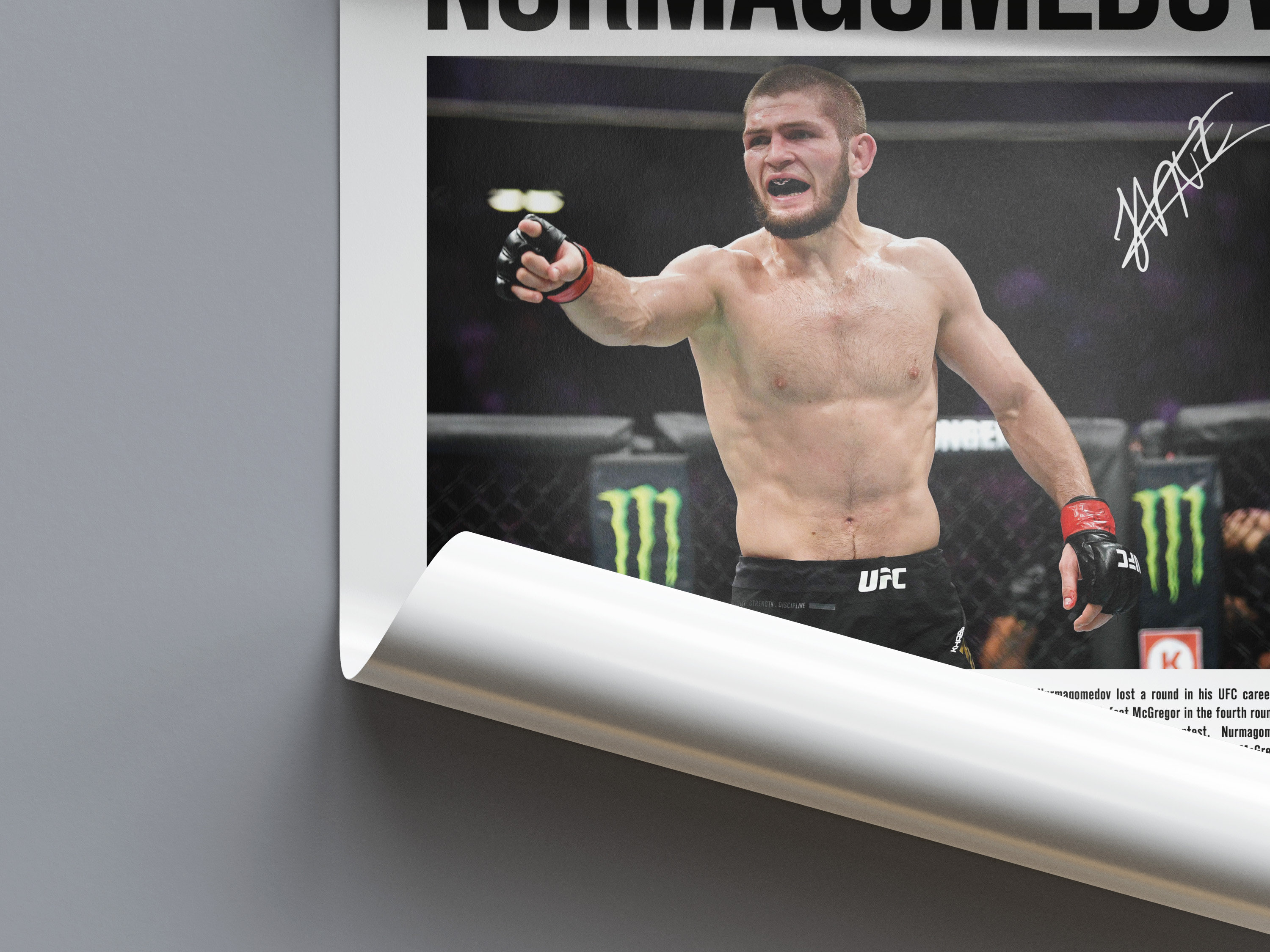Custom UFC Poster Khabib Nurmagomedov MMA Statistics Signed - Etsy