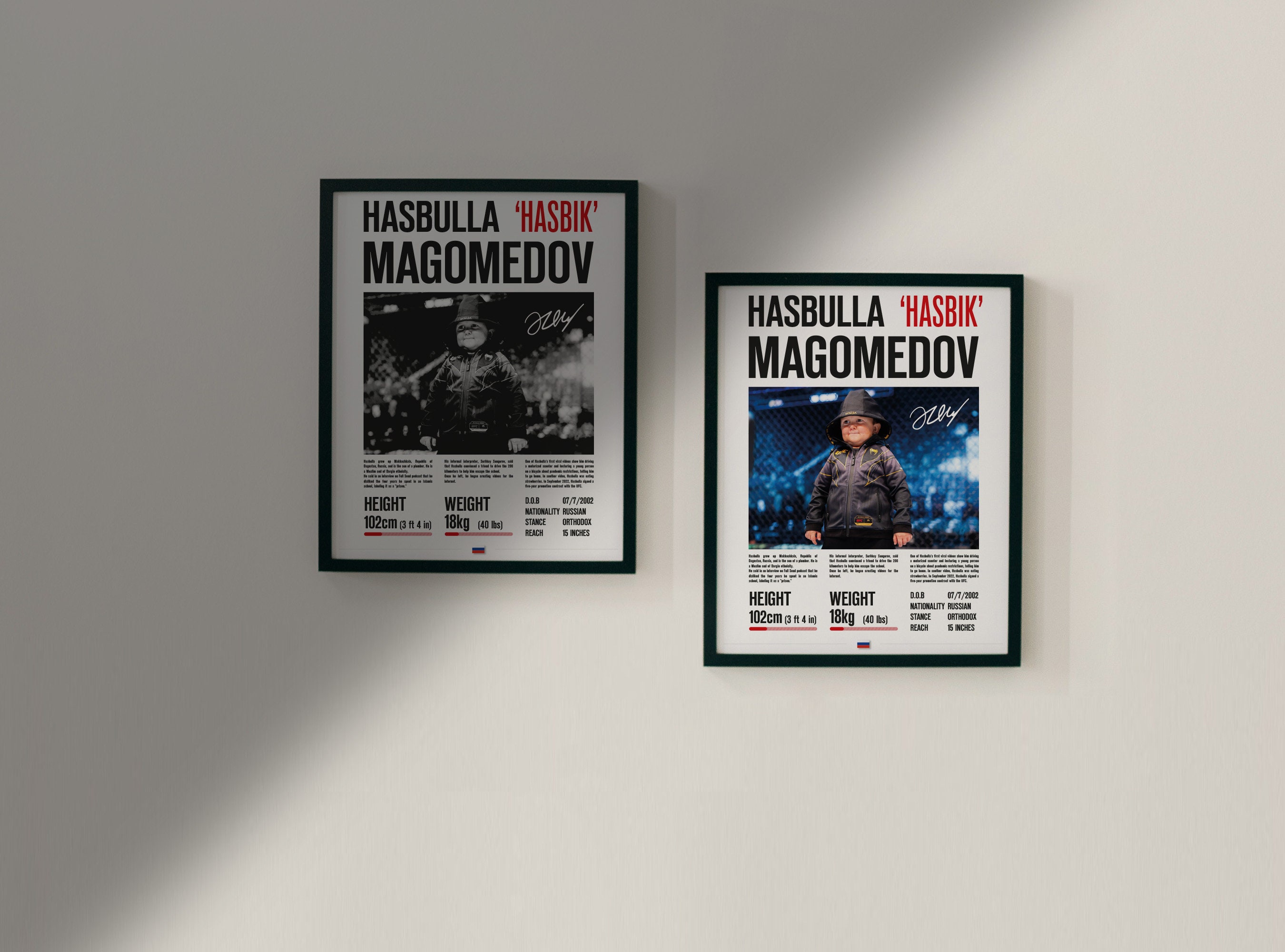 Custom UFC Poster Hasbulla Magomedov MMA Statistics Signed - Etsy