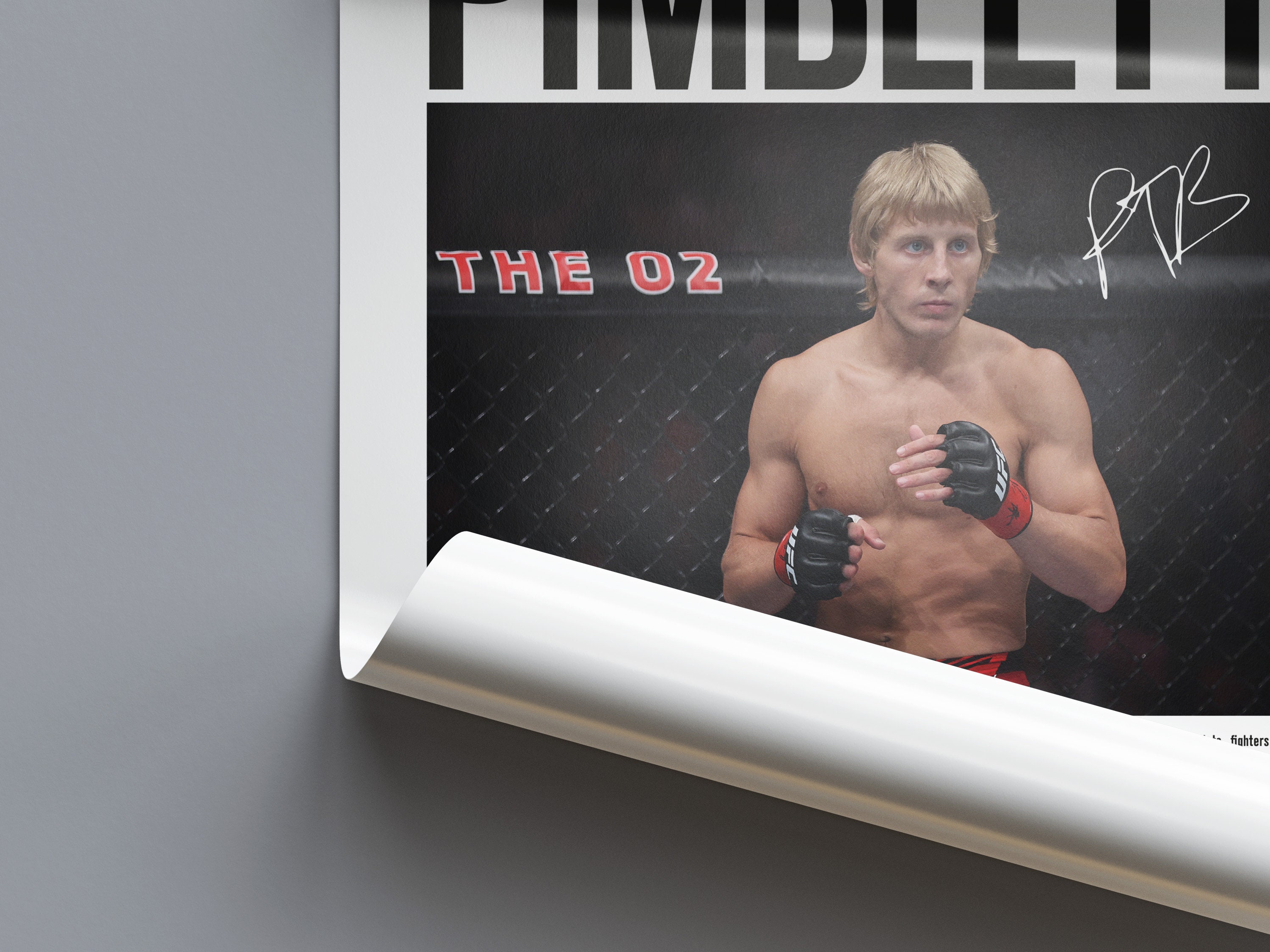 Custom UFC Poster Paddy Pimblett MMA Statistics Signed - Etsy
