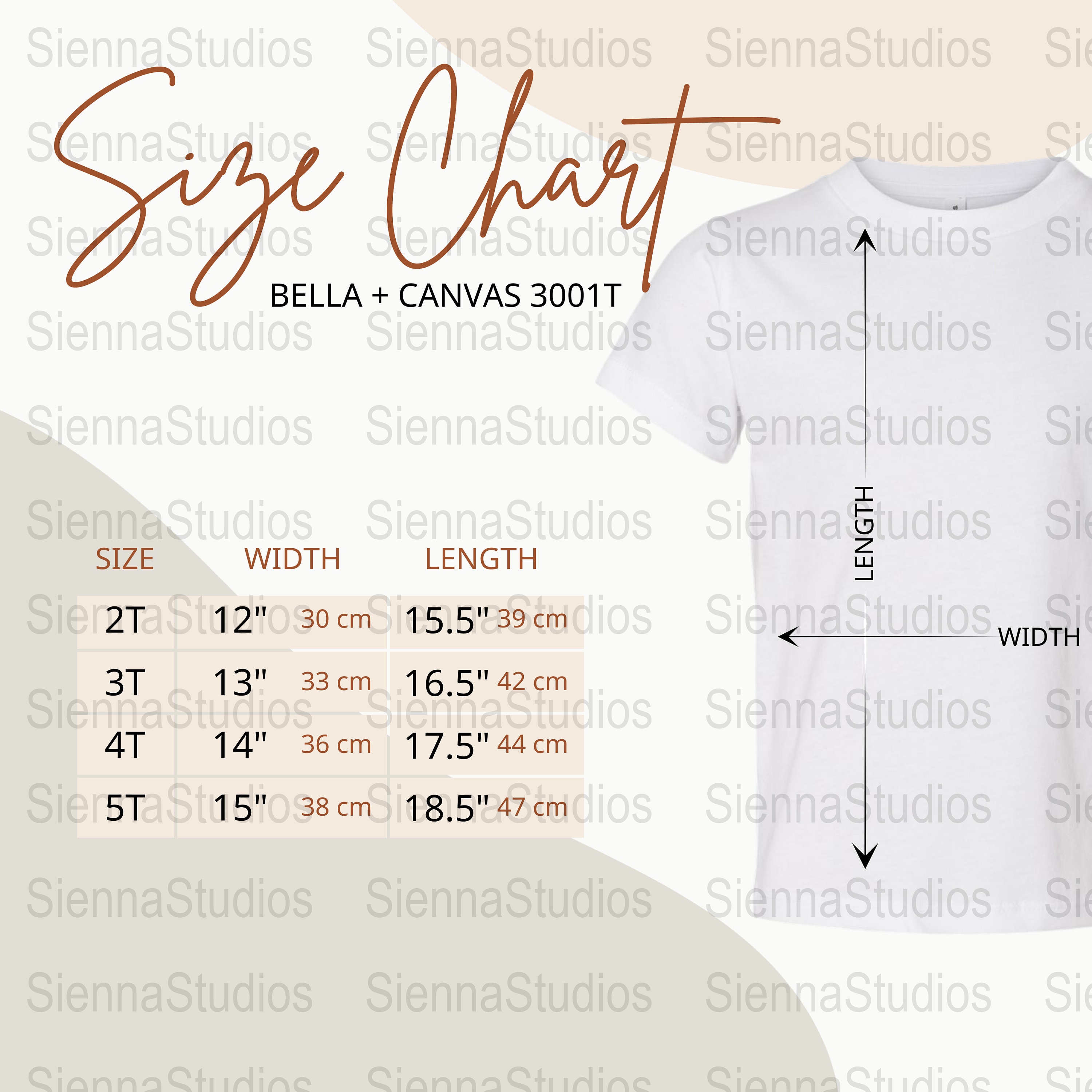 Bella Canvas 3001T Size Chart Mockup Size Chart for Bella Canvas 3001T ...