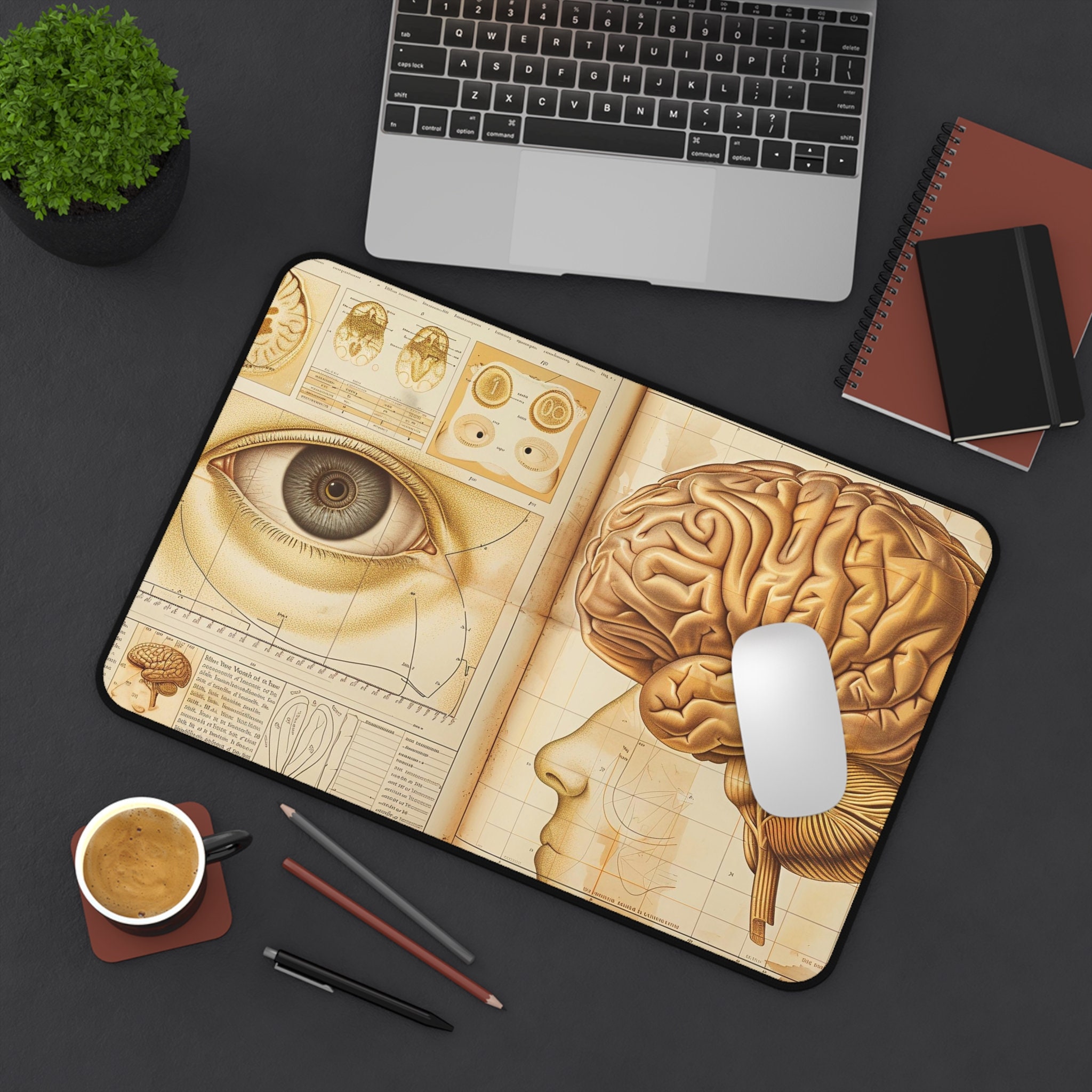 Vintage Anatomy Desk Mat, Human Brain and Eye Illustration, Antique ...