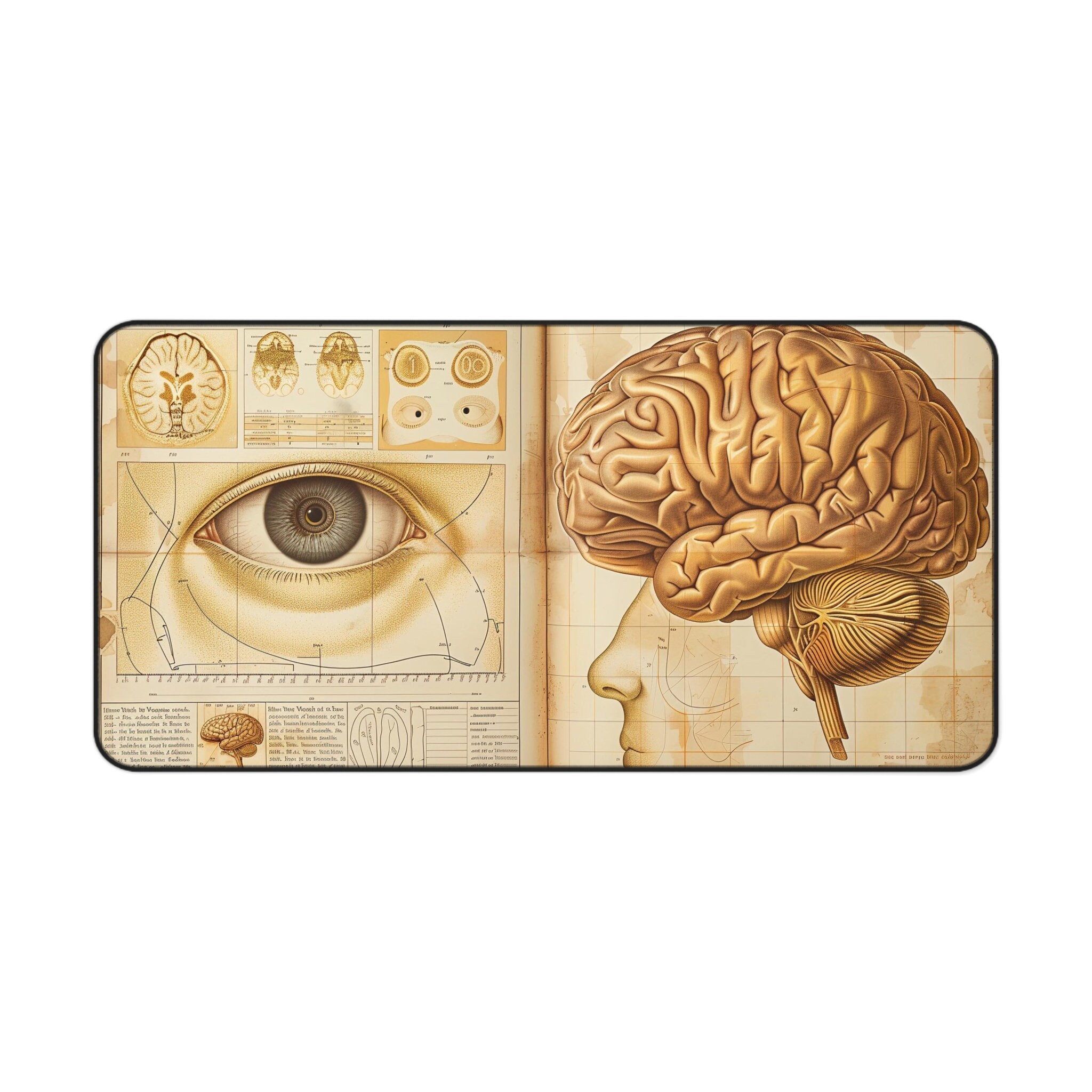 Vintage Anatomy Desk Mat, Human Brain and Eye Illustration, Antique ...
